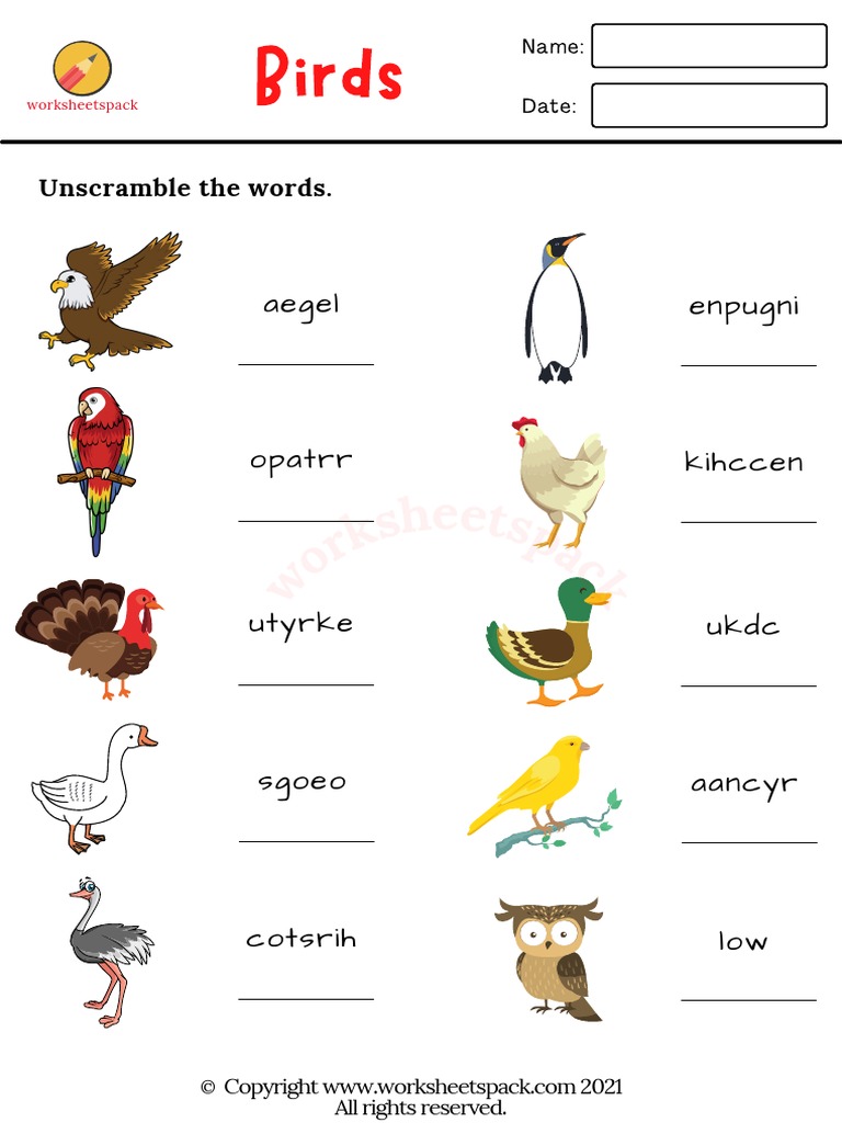 Birds Worksheets Word Scramble | PDF