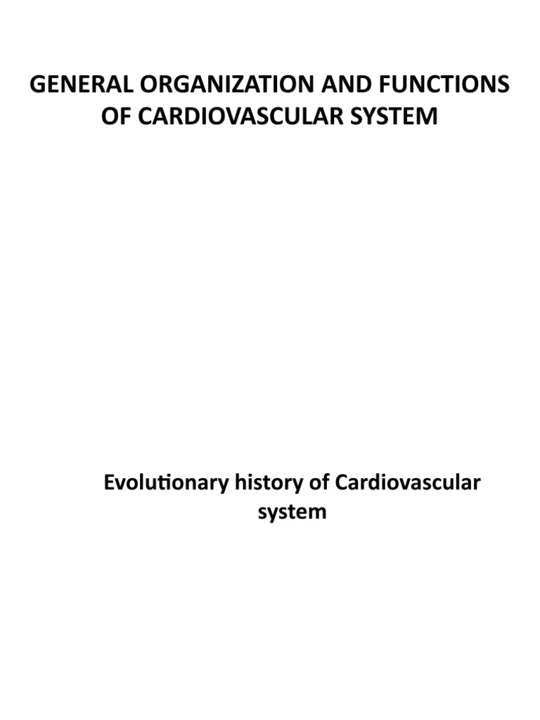 Functional Organization & Structure | PDF | Heart Valve | Cardiac Muscle