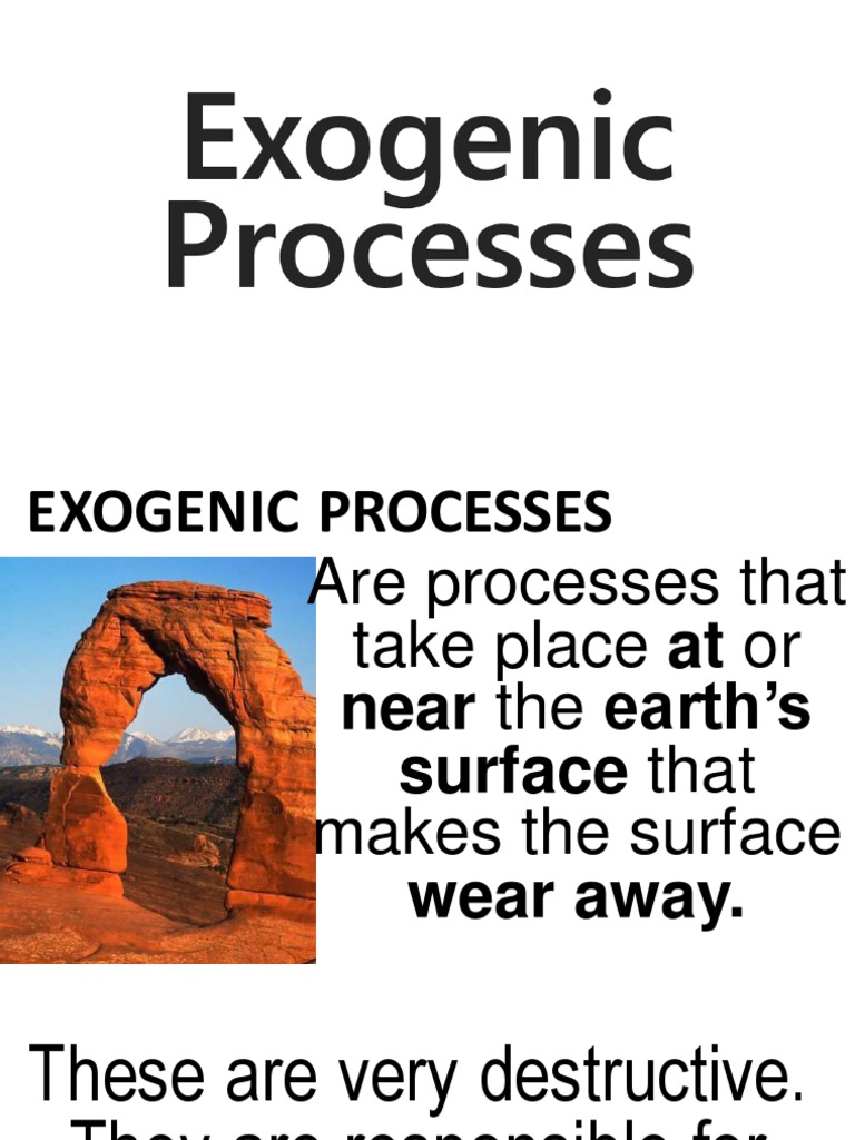 Lesson 1 - Exogenic Processes | PDF | Erosion | Weathering