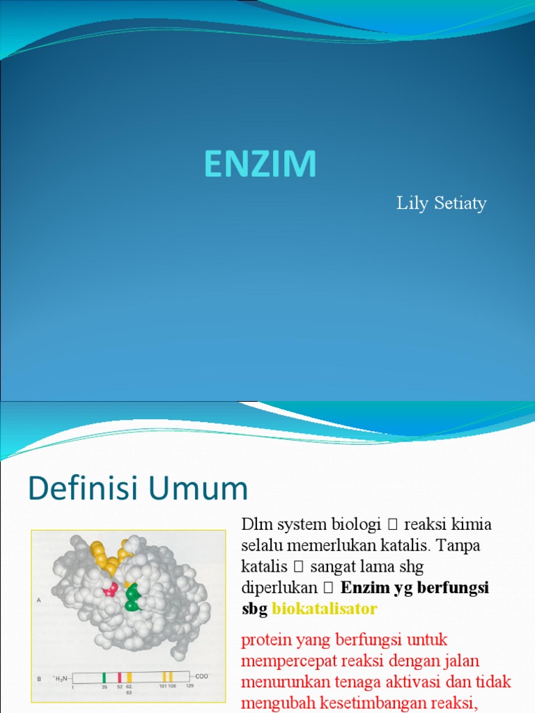 Enzim | PDF