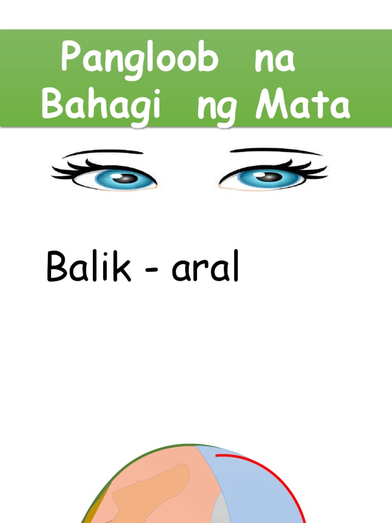 Pang Loob Na Bahagi NG Mata at Mga Gawain | PDF