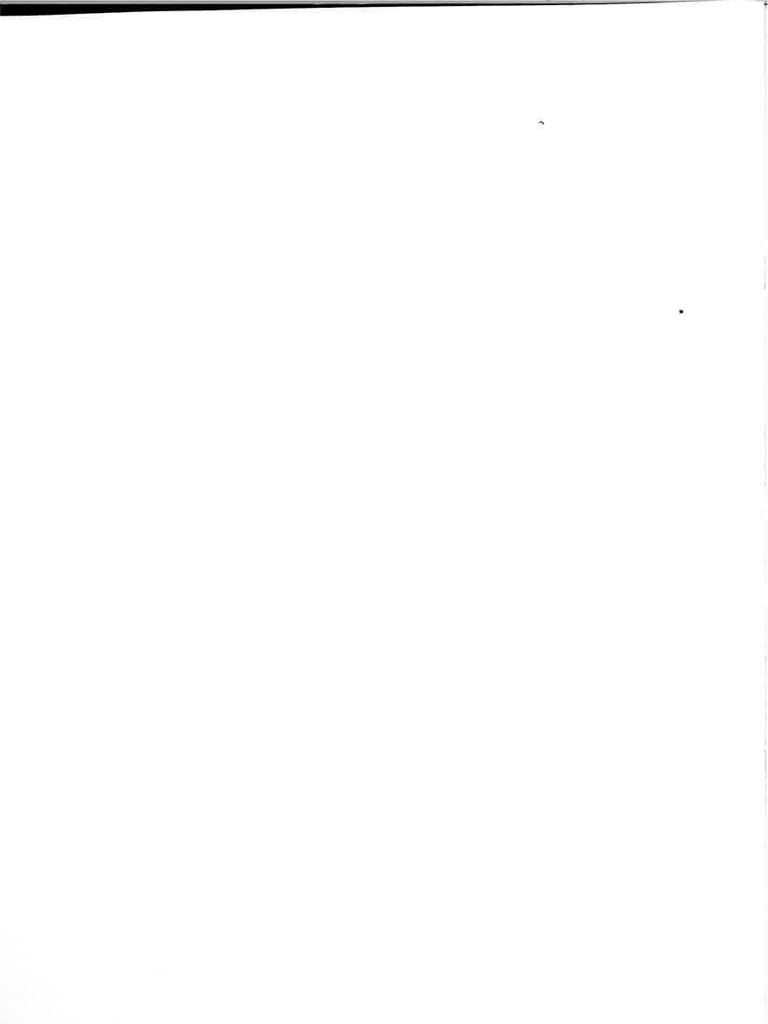 A Satir Modell | PDF