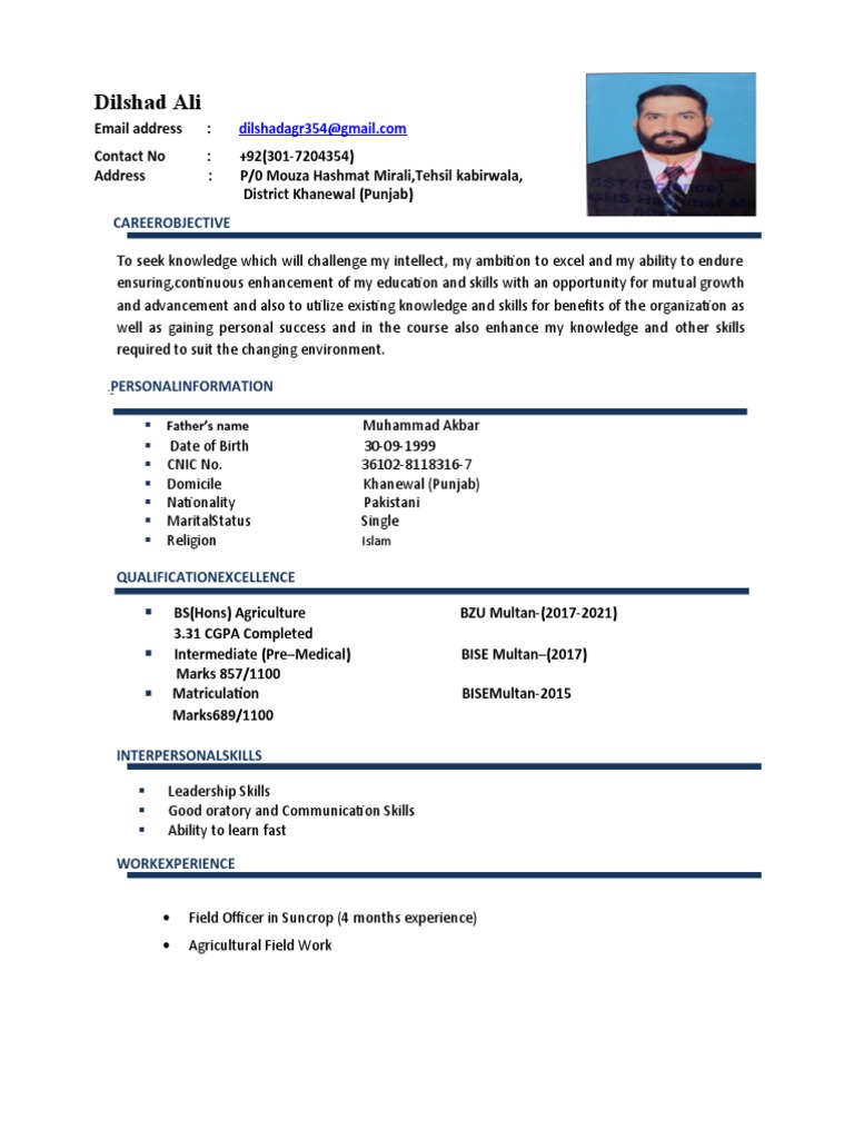 Dilshad CV | PDF