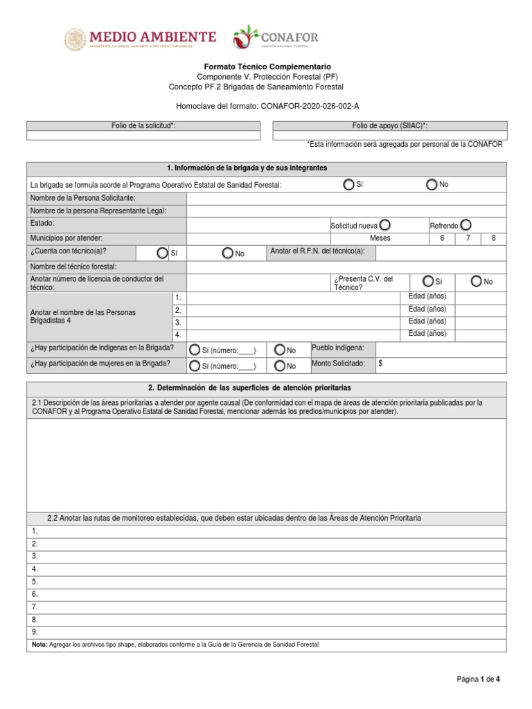 Formato Técnico Complementario Componente V. PF - PF.2 | PDF
