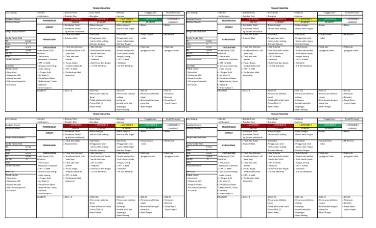 Pediatric Triage Documentation | PDF