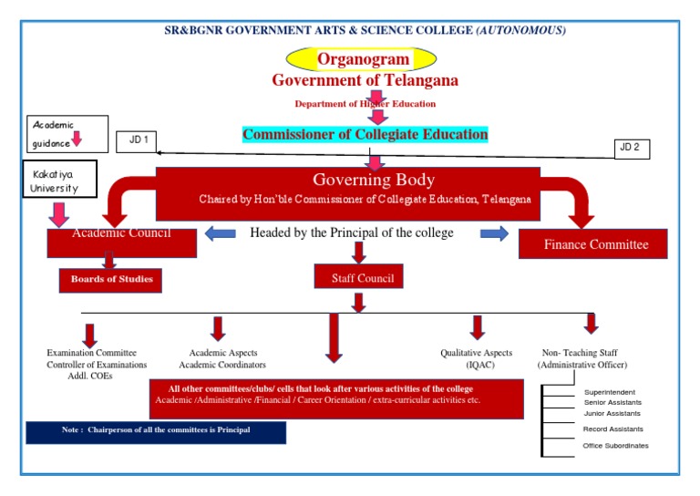 College Organogram Structure | PDF