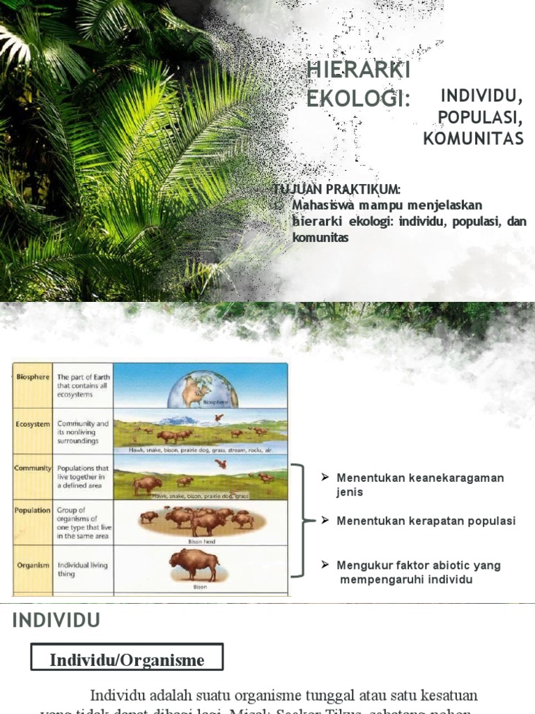 9a. PPT Ekologi | PDF