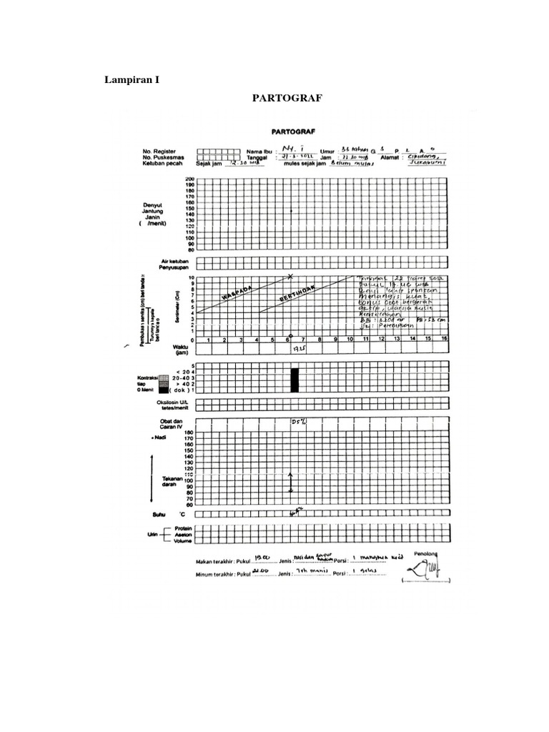 Partograf - PDF Print | PDF