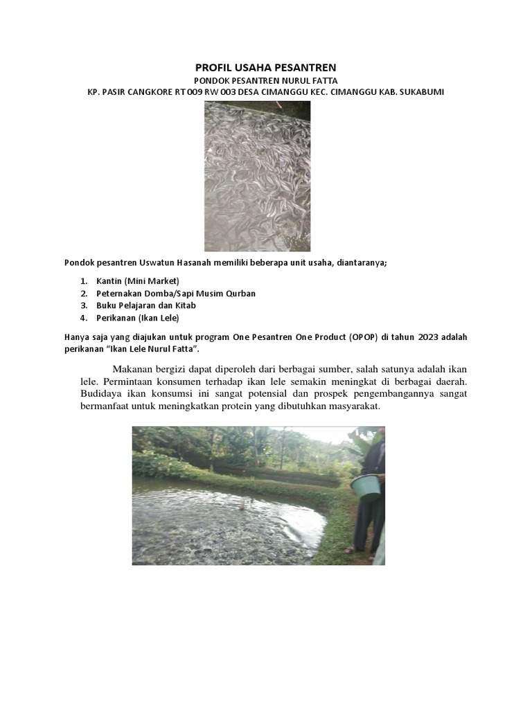 Profil Usaha Nurul Fatta | PDF