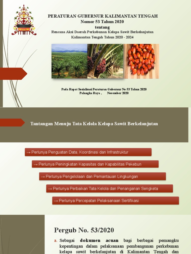 Bahan Sosialisasi - Pergub 53 Tahun 2020 RAD KSD Kalteng | PDF