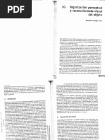 La Teoría Sintérgica - Jacobo Grinberg Zylberbaum | PDF