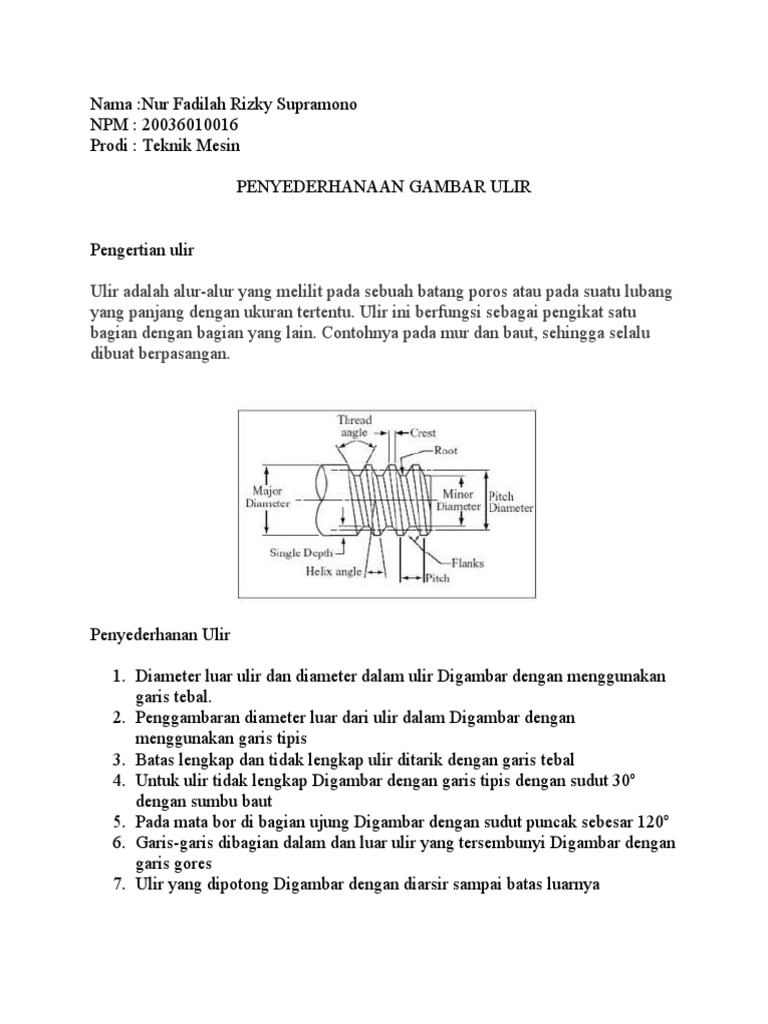 ULIR | PDF | Griya & Taman