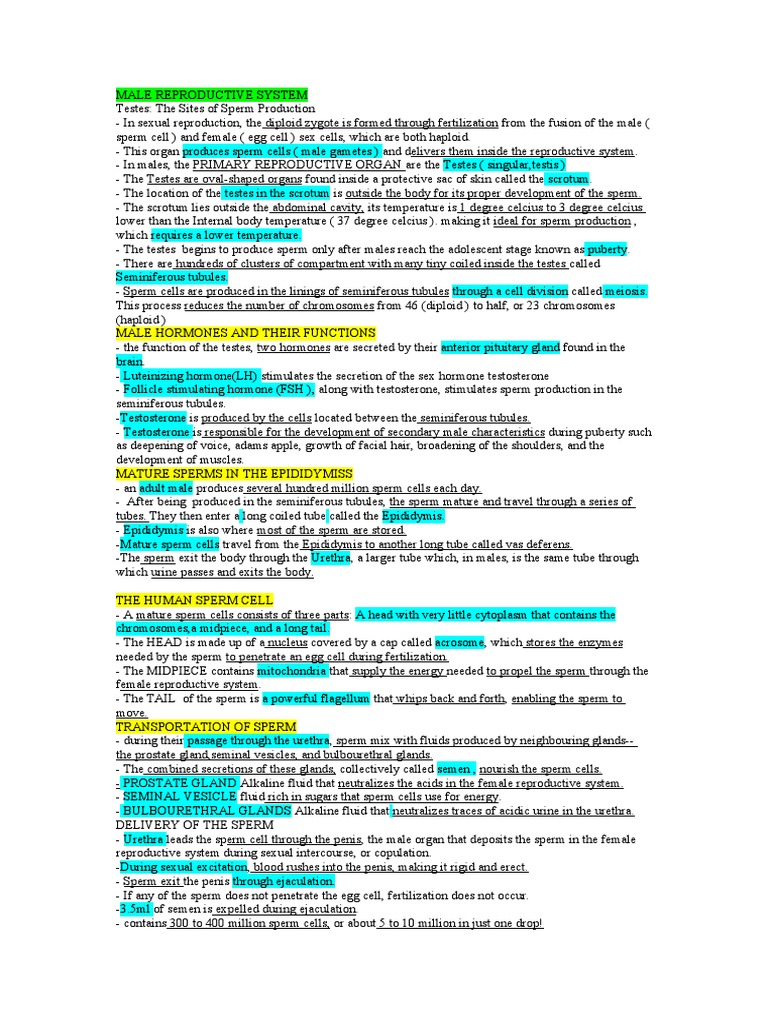 REPRODUCTIVE SYSTEM REVIEWER (M and F) | PDF | Testicle | Sperm