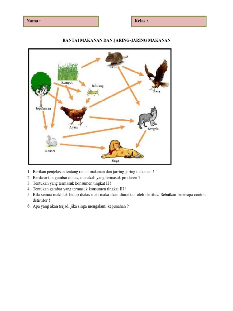 LKPD Rantai Makanan Dan Jaring Jaring Makanan | PDF