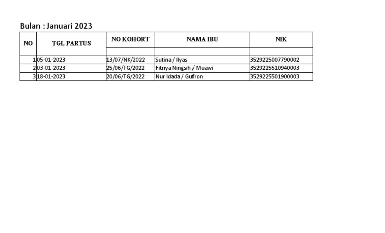 Laporan Inm Anc 2023 | PDF