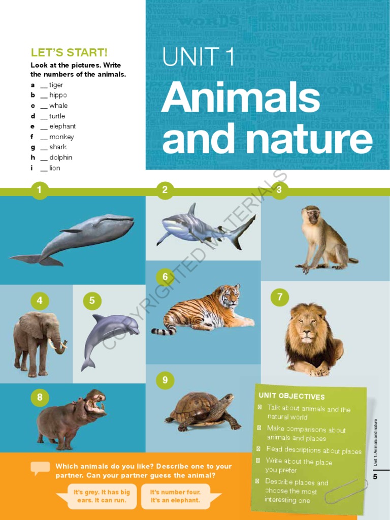 Book A2.2 | PDF | Coral Reef | Dolphin