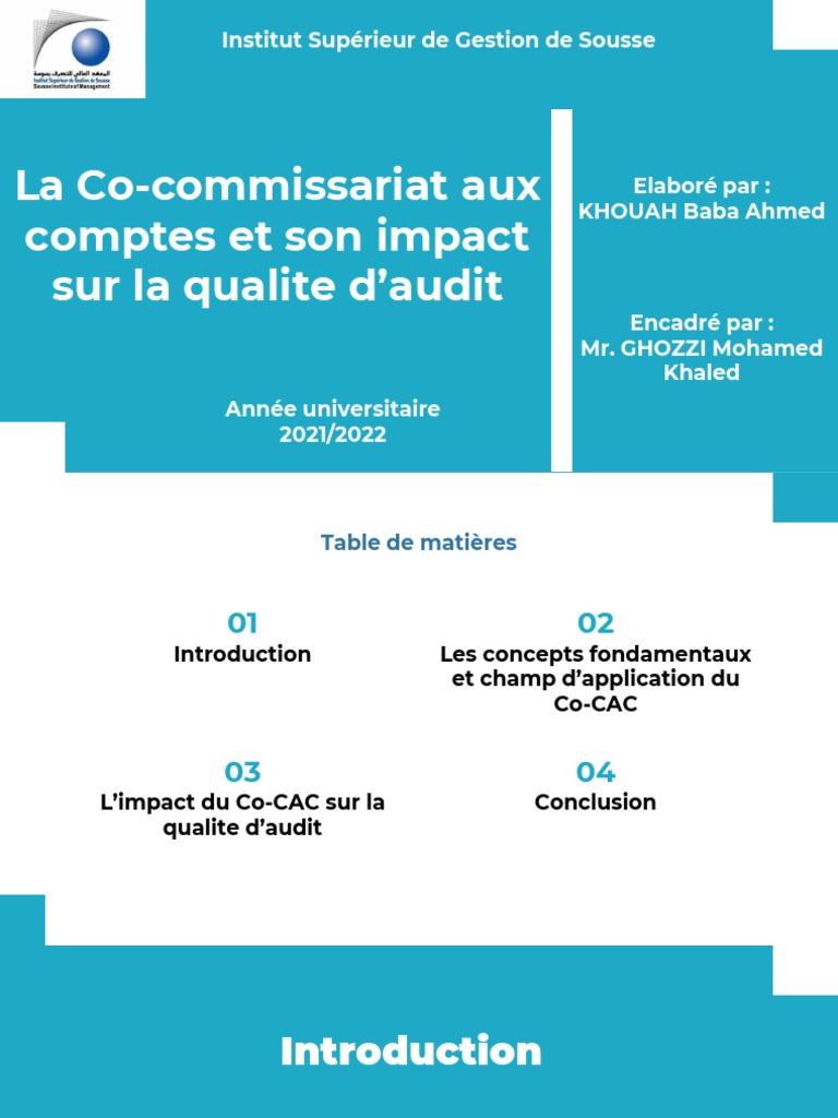 Co Cac 2 Pdf Audit Business