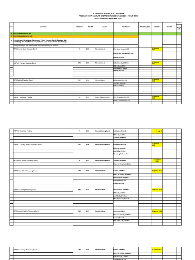 Program BOK 2022 Puskesmas Perawang | PDF