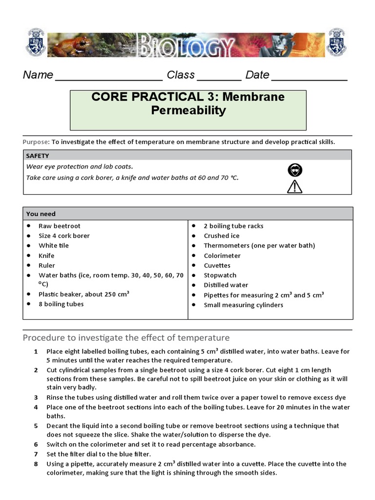 CP3 - Pupil Lab Report Booklet | PDF | Water | Absorbance