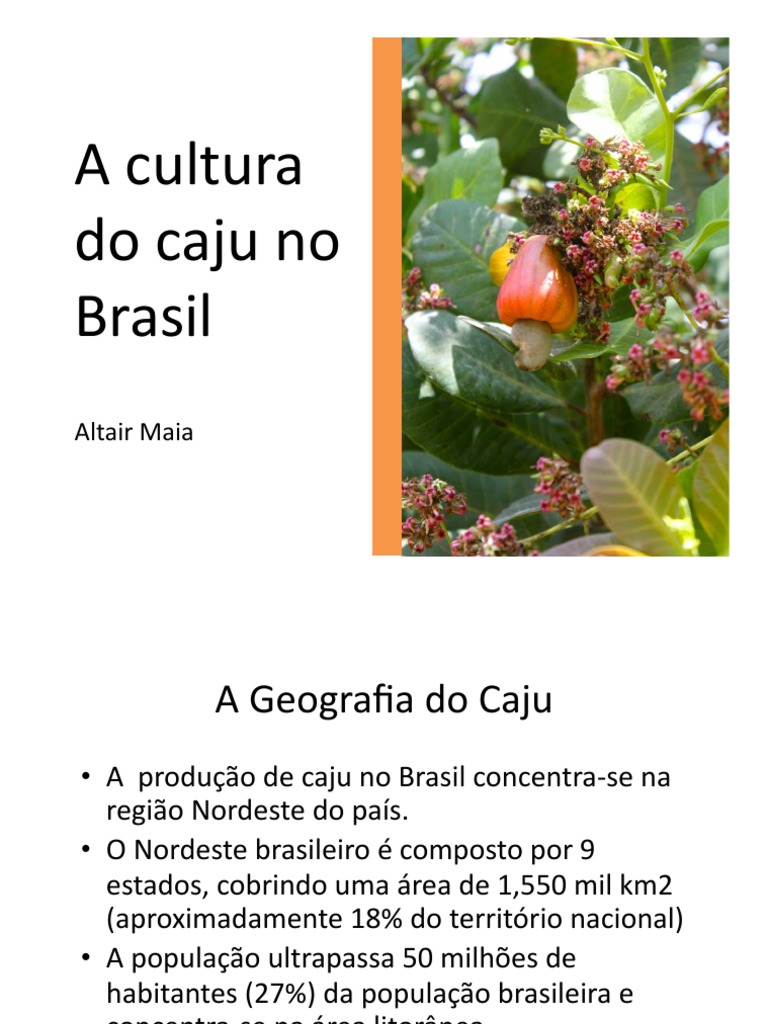 Cultura do Caju no Brasil: Produção e Impactos | PDF | Agricultura | África