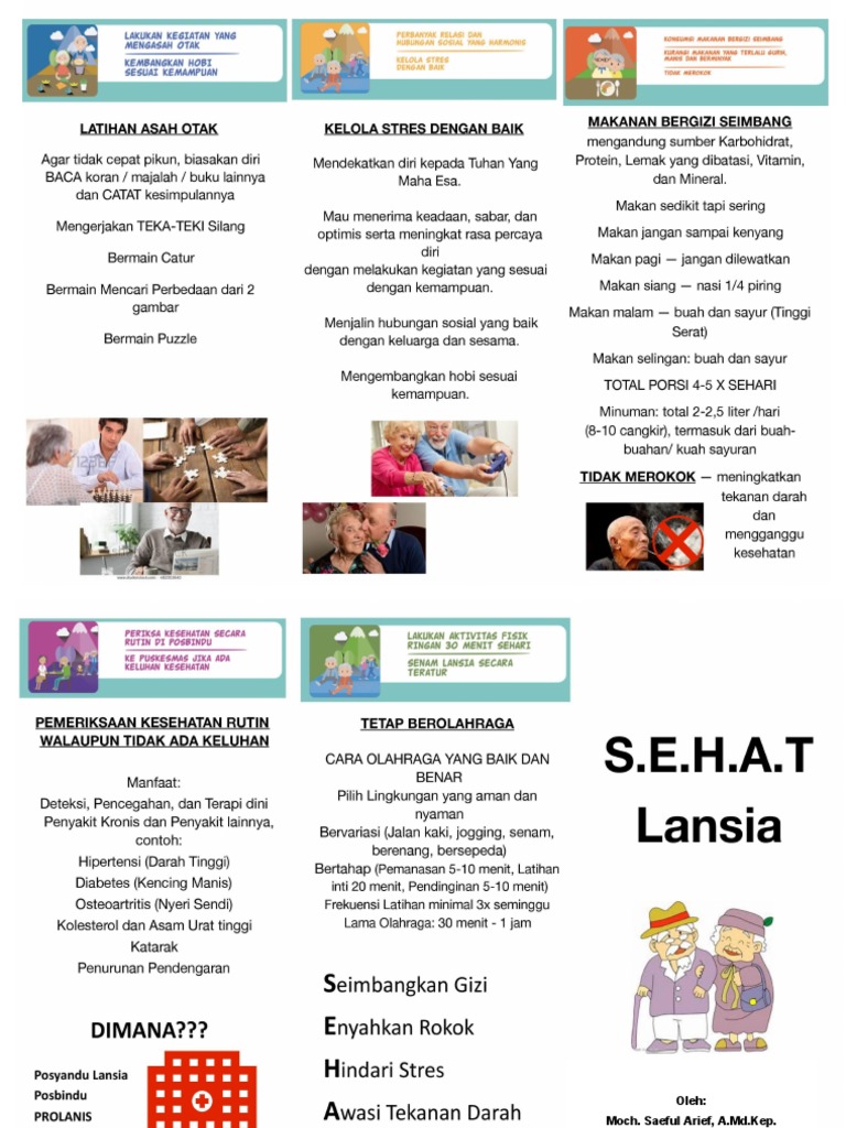 Leaflet Lansia | PDF