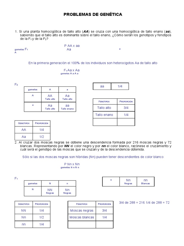 Problemas Genetica Resueltos | PDF | Dominancia (Genética) | Cigosidad