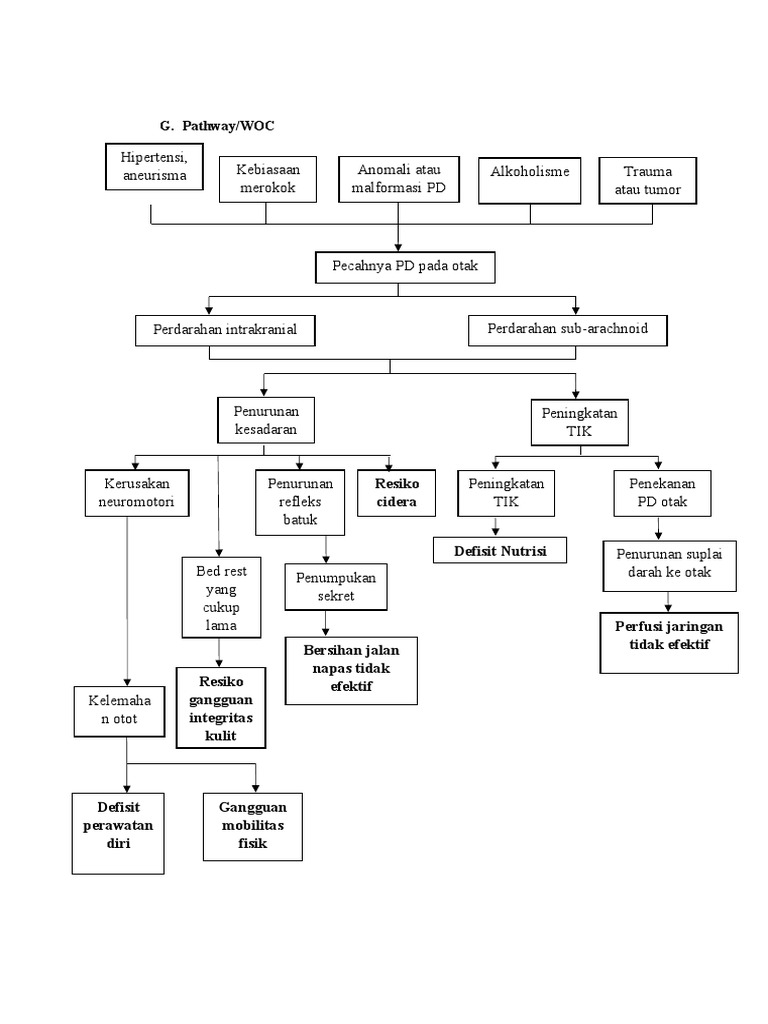 G. Pathway/WOC: Resiko Cidera | PDF