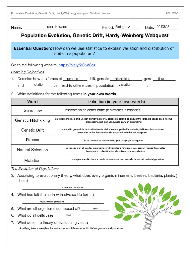 Population Evolution, Genetic Drift, Hardy-Weinberg Webquest | PDF | Allele | Gene