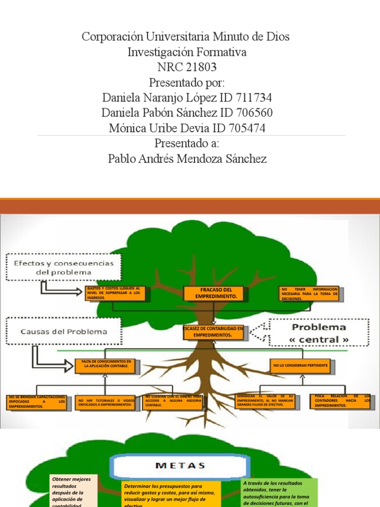 Arbol de Problemas | PDF | Contabilidad | Negocios económicos