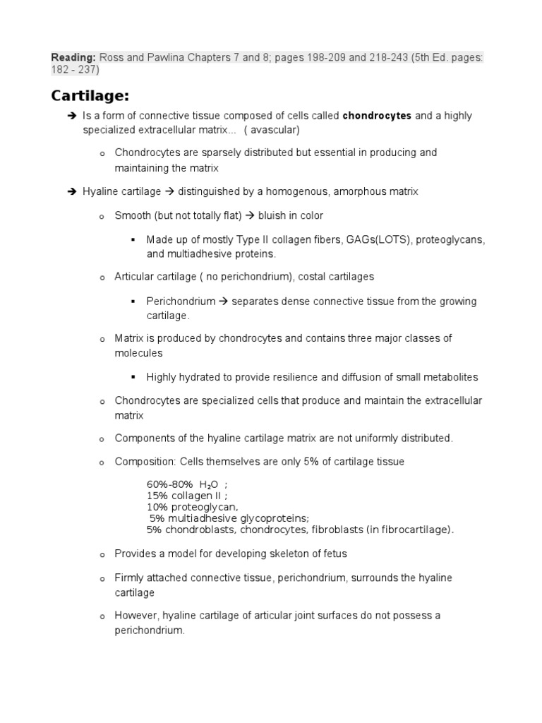 Bone And Cartilage Download Free Pdf Bone Osteoblast