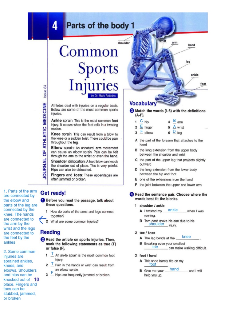 4 - Parts of The Body 1 Common Sports Injuries | PDF