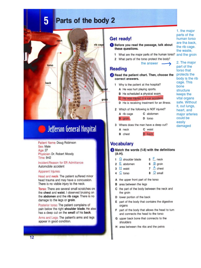 5 - Parts of The Body 2 | PDF