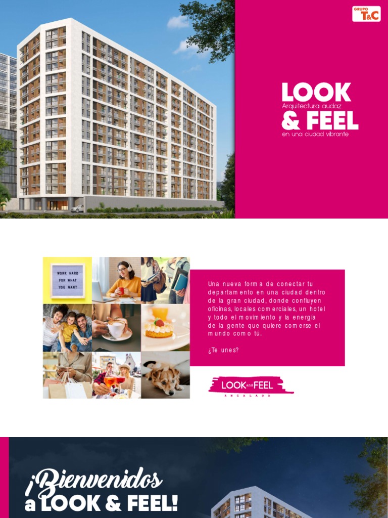 Proyecto Look & Feel en Surco | PDF