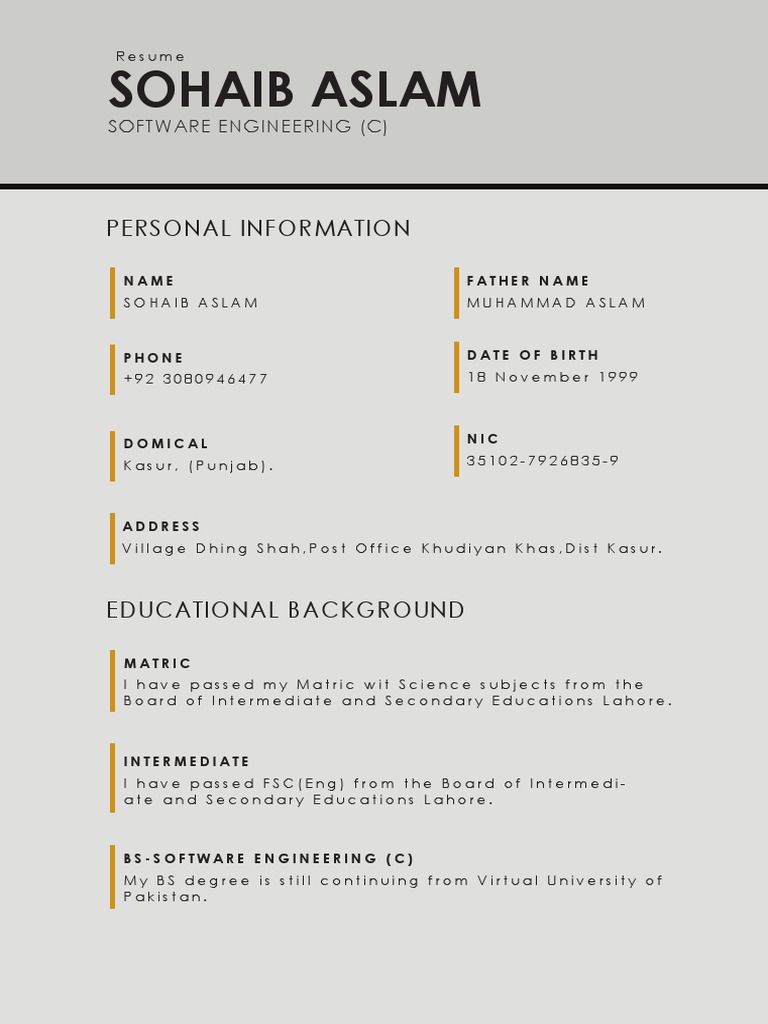 Sohaib Resume | PDF | Computers