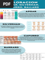 Test de Capurro | PDF | Infantes | Especialidades Medicas