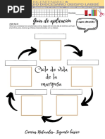 Prueba Ciclo de Vida 2° Básico | PDF | Ciencia y matemáticas