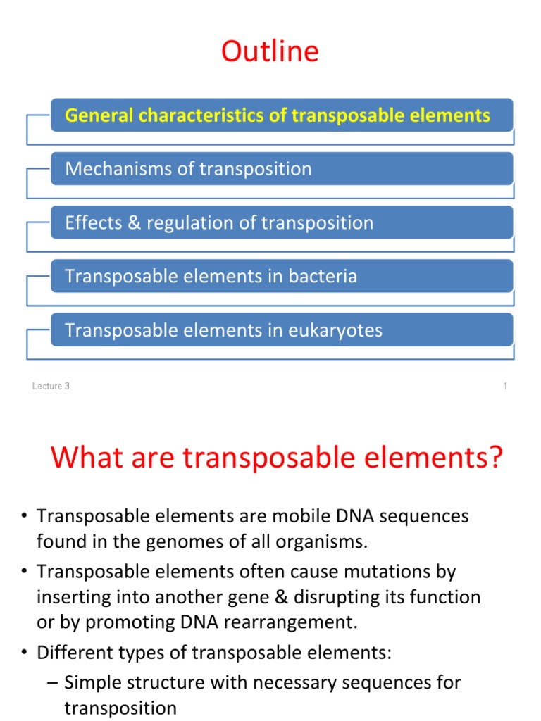 Lecture 3 | PDF | Transposable Element | Genome