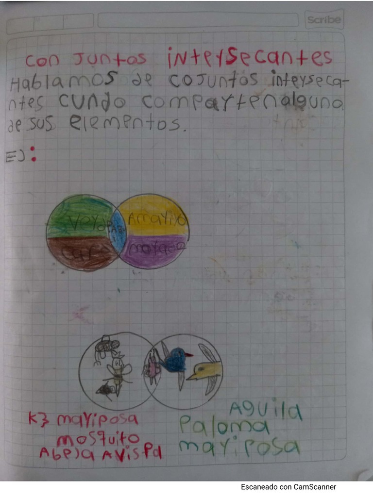 Conjuntos Intersecantes | PDF