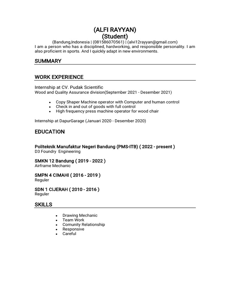 CV Ats Friendly ALFI RAYYAN | PDF | Art