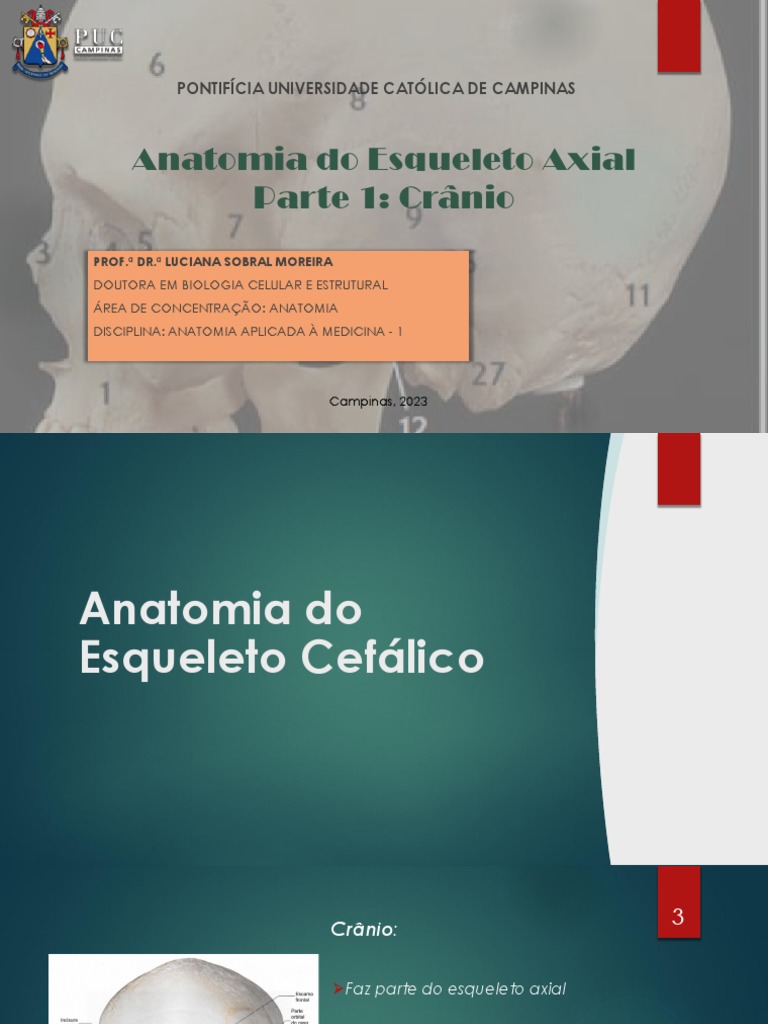 AULA3 - Anatomia Do Esqueleto Axial - Crânio - MED | PDF | Crânio ...
