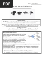 14 Answer Key Beaks of Finches Lab | PDF | Adaptation | Natural Selection