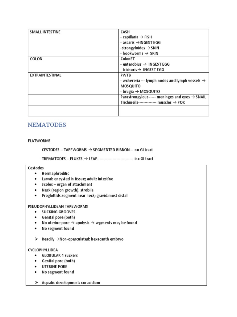 Small Intestine | PDF