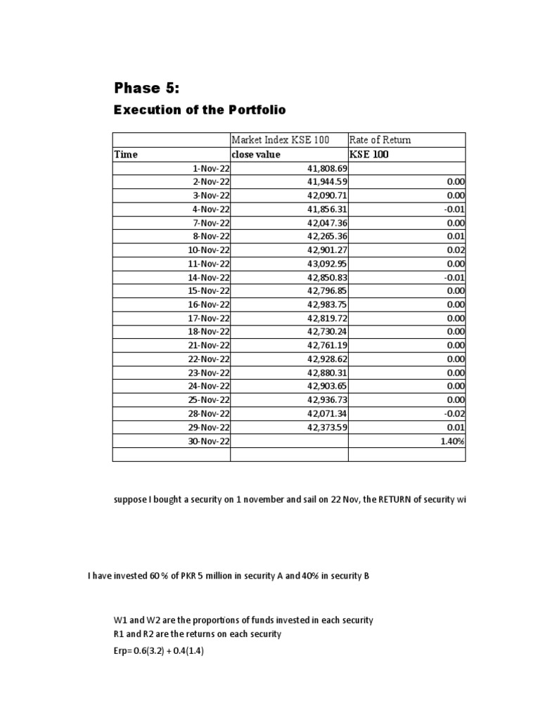 Portfolio Management Project Phases Submitted by Wasif Mahmood | PDF ...