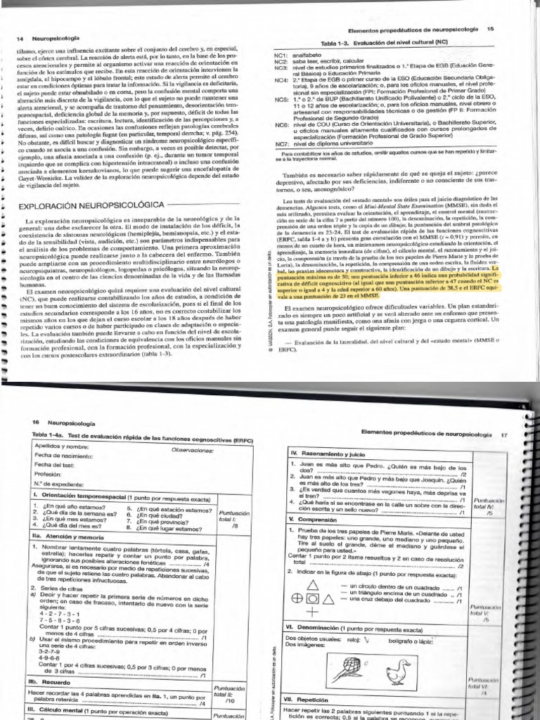 Interpretación ERFC | PDF | Neuropsicología | Memoria