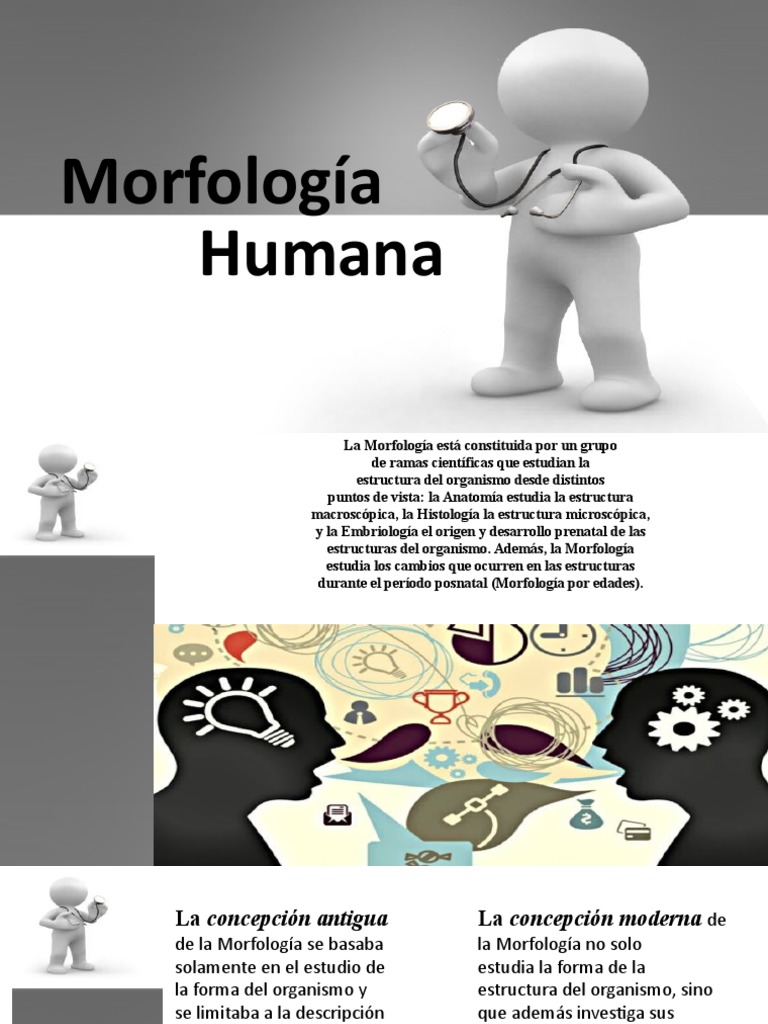 Morfología Humana y su Importancia | PDF | Microscopio | Anatomía
