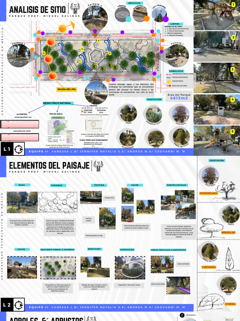 Lámina 1 Análisis Del Sitio | PDF | Arboles | Botánica