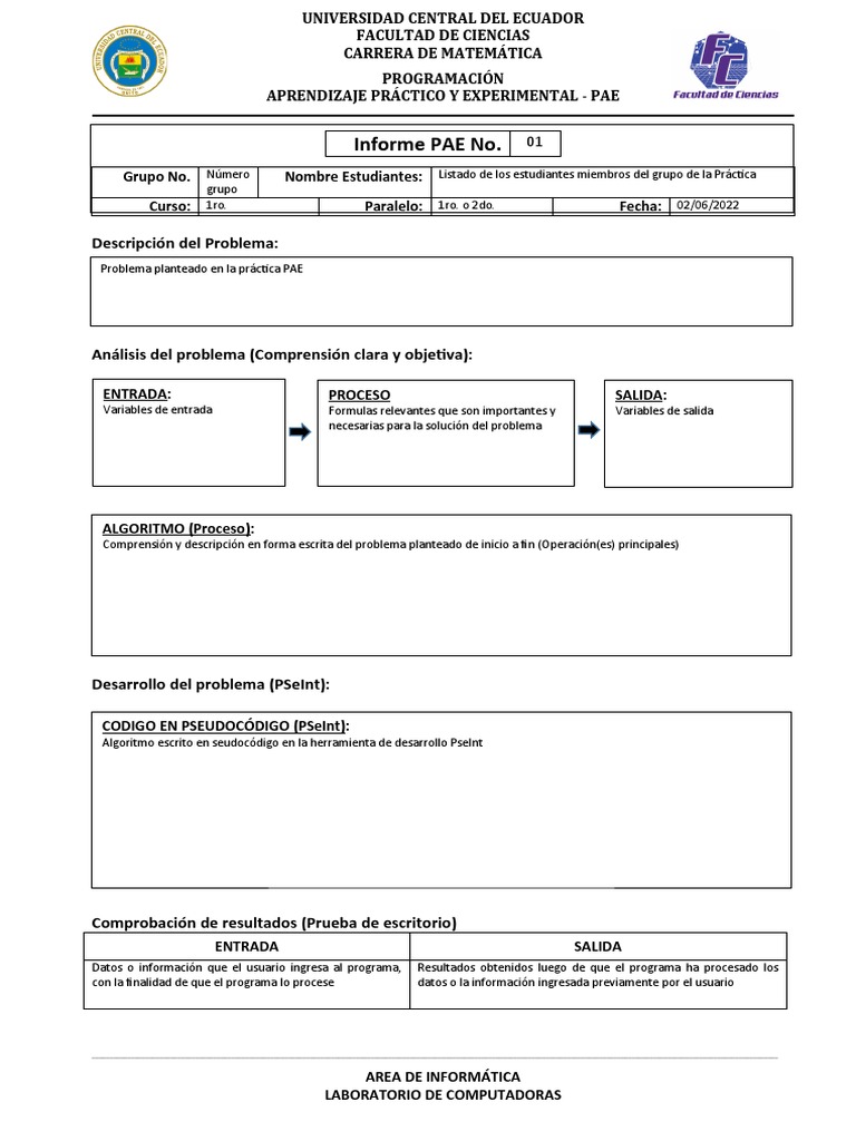 P - Formato de Informe PAE | PDF | Programa de computadora | Programación