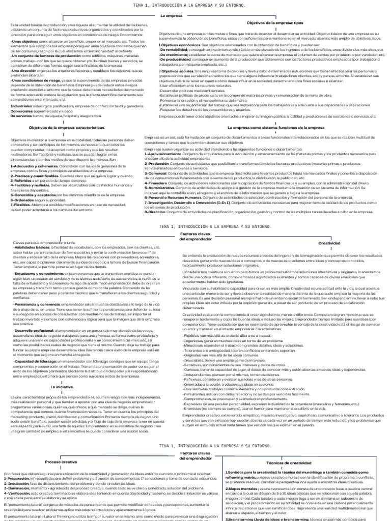 Tema 1 Gefe Esquema | PDF | Iniciativa empresarial | Creatividad