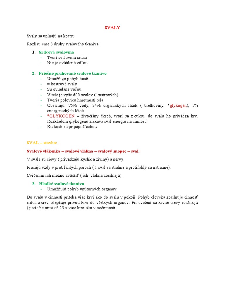 Svaly - Poznámky | PDF