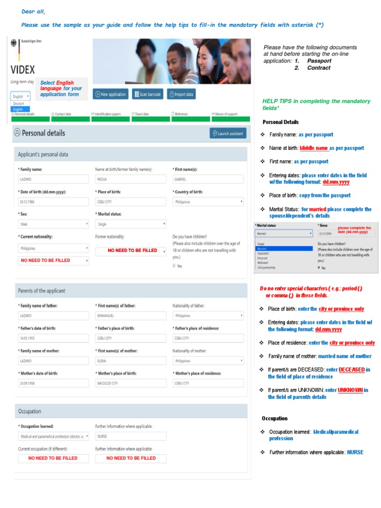 Videx User Guide | PDF | Travel Visa | Passport